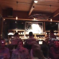 Wolf in the Fog - 21 tips from 447 visitors