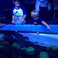 Portland Aquarium - 18 tips from 570 visitors