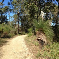 Star Swamp Bushland Reserve - 22 visitors