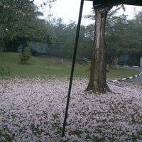 MAS Bodyline - Rathnapura Road