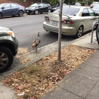 Unit 4 - Foothill Hillside Complex - University of California-Berkeley ...