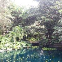 Museo de Arte Puerto Rico:- Gardens - Garden in San Juan