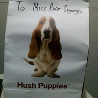 Zenshin Systems Corp. - San Jose - 25 G. Roxas St. Brgy. San Jose