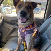 Kansas Humane Society - Animal Shelter