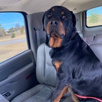 Kansas Humane Society - Animal Shelter