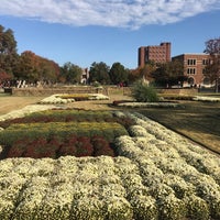 University of Oklahoma - 660 Parrington Oval