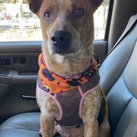 Kansas Humane Society - Animal Shelter