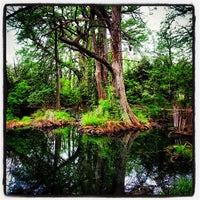 Muleshoe Bend Recreation Area LRCA - Spicewood, TX