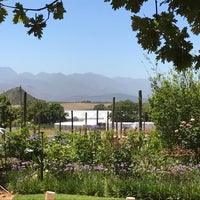 Backsberg Wine Estate - 97 tips from 357 visitors