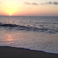 Poodle Beach - Rehoboth Beach, DE