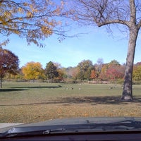 Frame Park - 14 tips