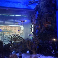 Salt Life Food Shack - Seafood Restaurant