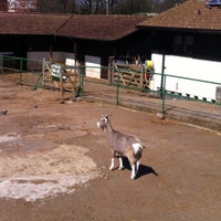 Surrey Docks City Farm - Farm in Surrey Docks