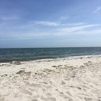 Dowses Beach - 9 tips from 535 visitors