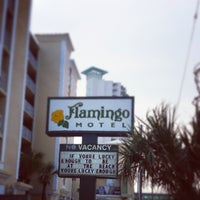 Flamingo Motel - Motel
