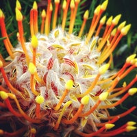 O‘ahu - Aliamanu - Salt Lake - Foster Village - Oʻahu, HI