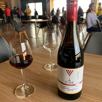 York Winery Pvt. Ltd. - Vineyard in Nashik