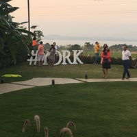 York Winery Pvt. Ltd. - Vineyard in Nashik