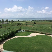 York Winery Pvt. Ltd. - Vineyard in Nashik