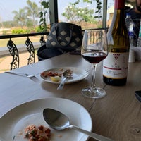 York Winery Pvt. Ltd. - Vineyard in Nashik