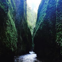 Oneonta Gorge (Now Closed) - Other Great Outdoors in Portland