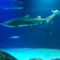 ABQ BioPark Aquarium - Aquarium in Albuquerque