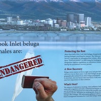 Bird Point - Indian, AK