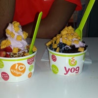 Yog - Ice Cream Shop