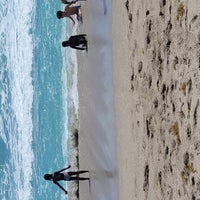 Singer Island Beach - Palm Beach Shores, FL