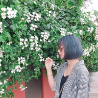 Unique Expired - 8 tips from 62 visitors