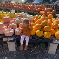 Allandale Farm - 259 Allandale Rd