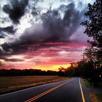 Duffield's Farmers Market - 10 tips from 682 visitors