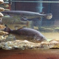 Fin Inn - 1 tip from 173 visitors