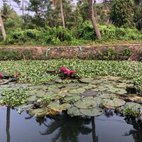 Kumarakom Backwaters - Backwaters - Kottayam, Kerala