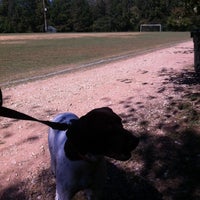 Duck Samford Stadium - Auburn, AL