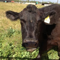 Pierce College: Farm Center - 6 tips from 636 visitors