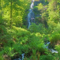 Canonteign Falls - Waterfall