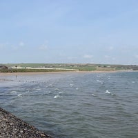 Ardmore Beach - 2 tips from 132 visitors