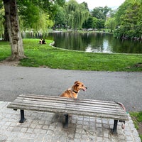 Good Will Hunting Bench - Arts and Entertainment in Beacon Hill