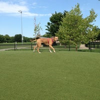 Locust Point Dog Park - Dog Run in Baltimore