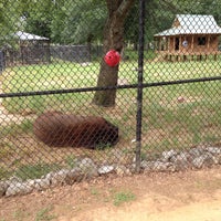 Noah's Ark Animal Habitat - Zoo in Locust Grove