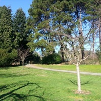 Ravenna Park - Seattle, WA