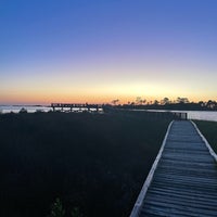 Shell Mound - 61 visitors
