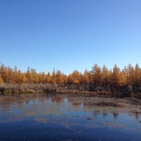Volo Bog State Natural Area - Nature Preserve in Ingleside