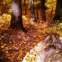 Parnell tower - 3 tips