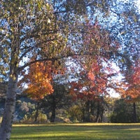 Montrose Community Park - 5 tips