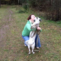 Juglas dzīvnieku patversme “Labās Mājas” - Dog Run in Jugla