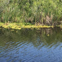 Alligator Alley - Everglades, FL
