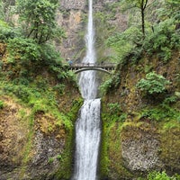 Multnomah Falls - 184 tips from 21654 visitors