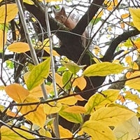 Moness House Hotel & Country Club Aberfeldy - Hotel